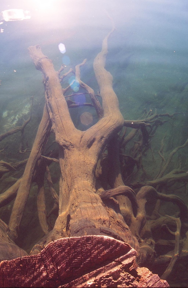 Eileen Delehanty Pearkes on the Columbia River Treaty | Canadian Geographic