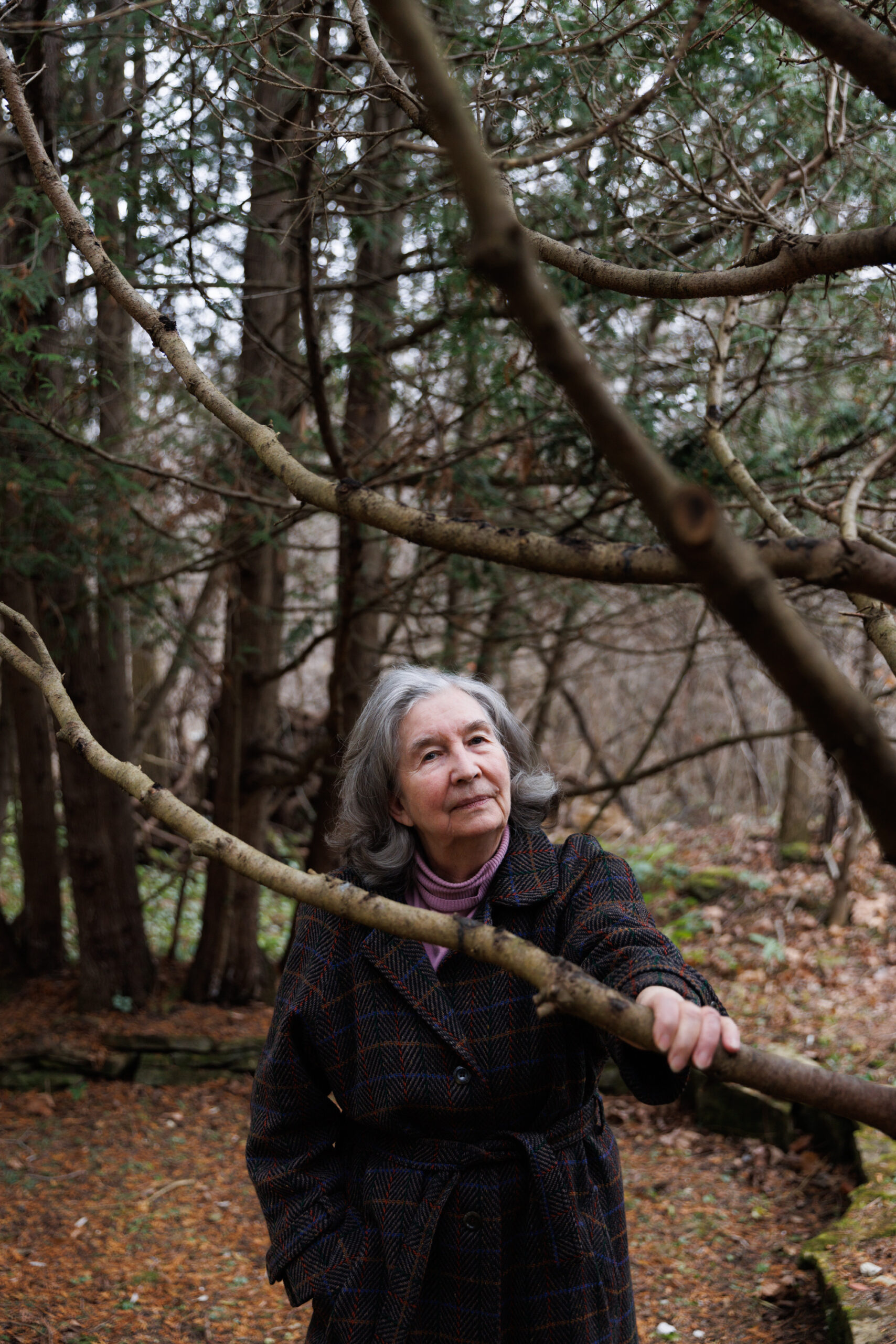 Our Green Heart – The Soul and Science of Forests with Diana Beresford ...