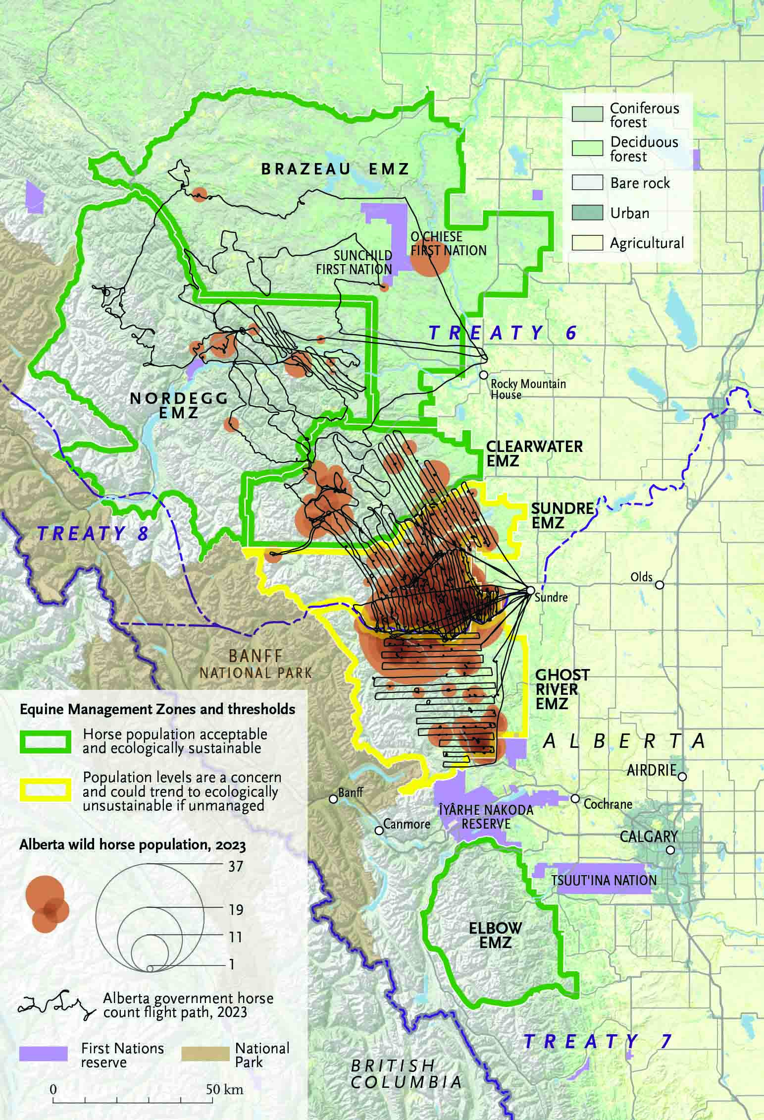 The politics of wild: where do Alberta’s wild horses belong? | Canadian ...