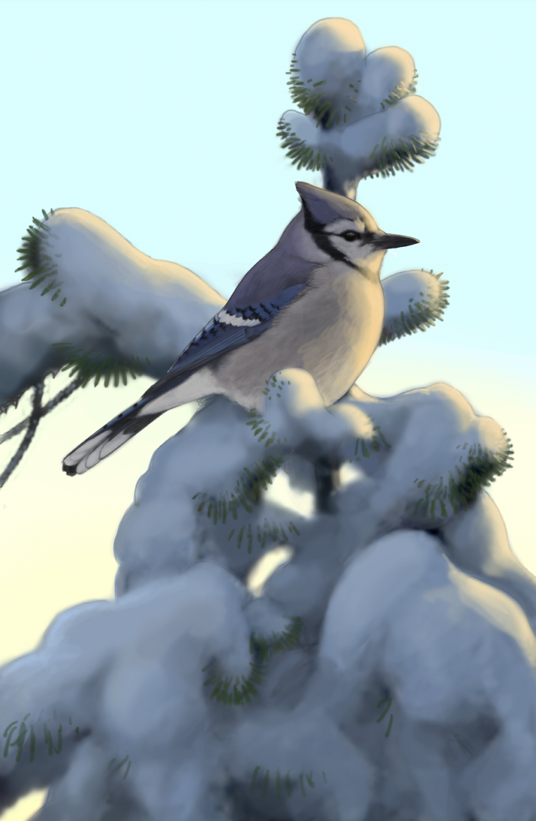 Excerpt from The Courage of Birds: And the Often Surprising Ways They ...
