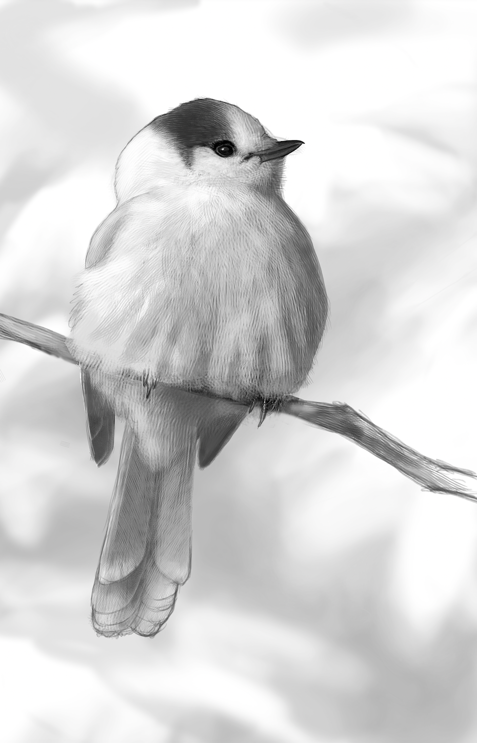 Excerpt from The Courage of Birds: And the Often Surprising Ways They ...