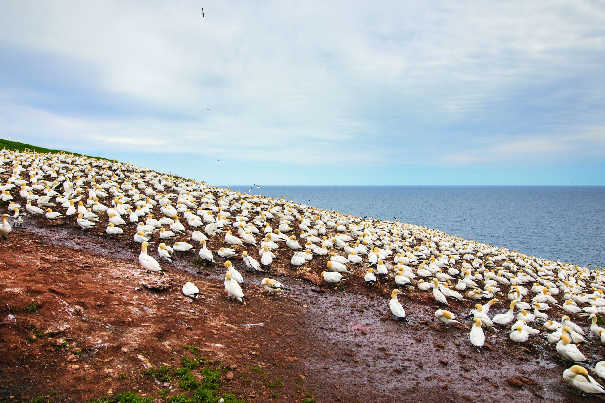 Bedrock: travel that begins beneath your feet | Canadian Geographic