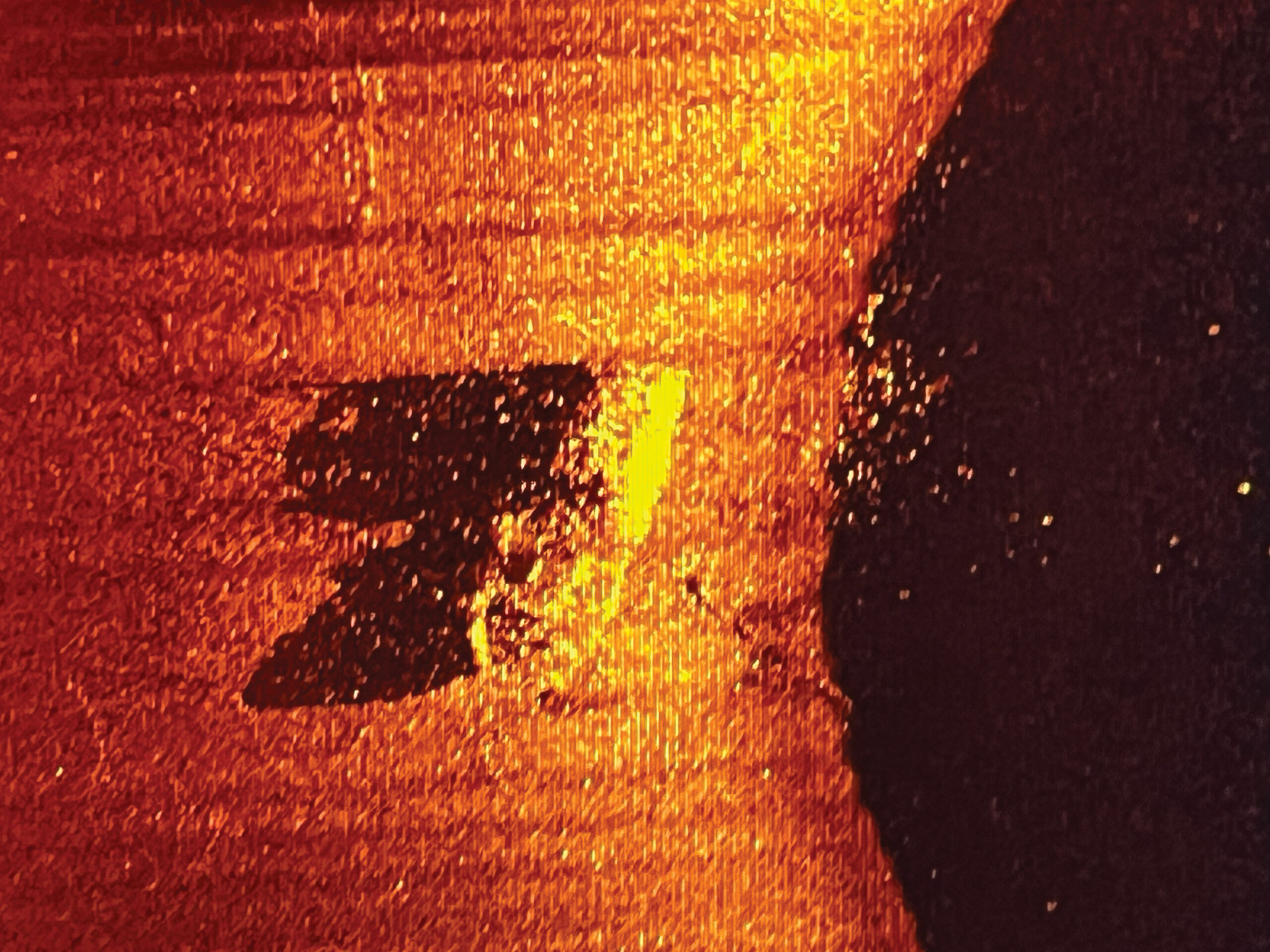 Finding Quest | Canadian Geographic