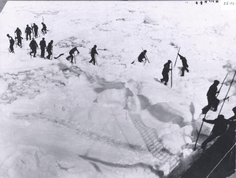 The harsh realities of sealing life at “the Front” | Canadian Geographic