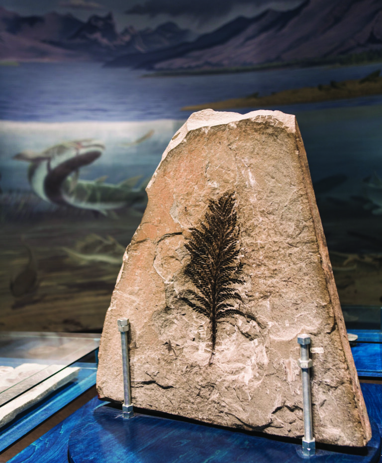 Bedrock: travel that begins beneath your feet | Canadian Geographic