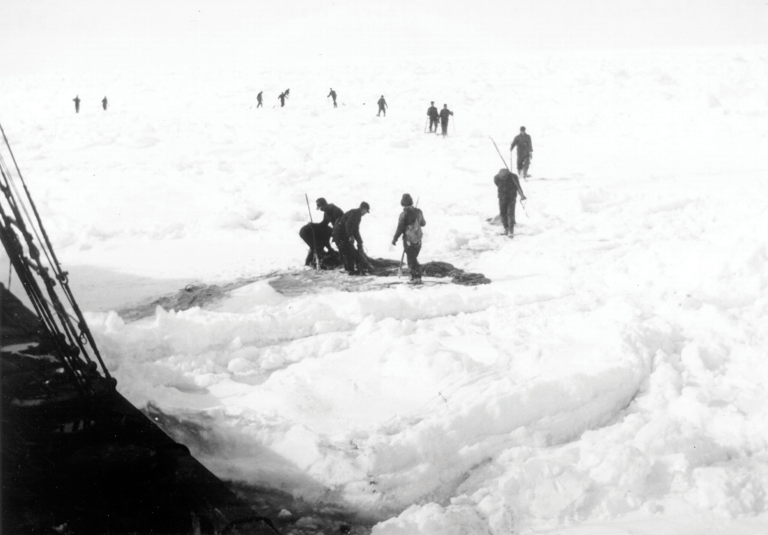 The harsh realities of sealing life at “the Front” | Canadian Geographic