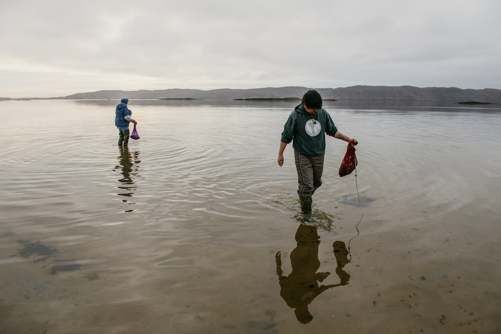Sécurité alimentaire : À la chasse aux aliments sains | Canadian Geographic
