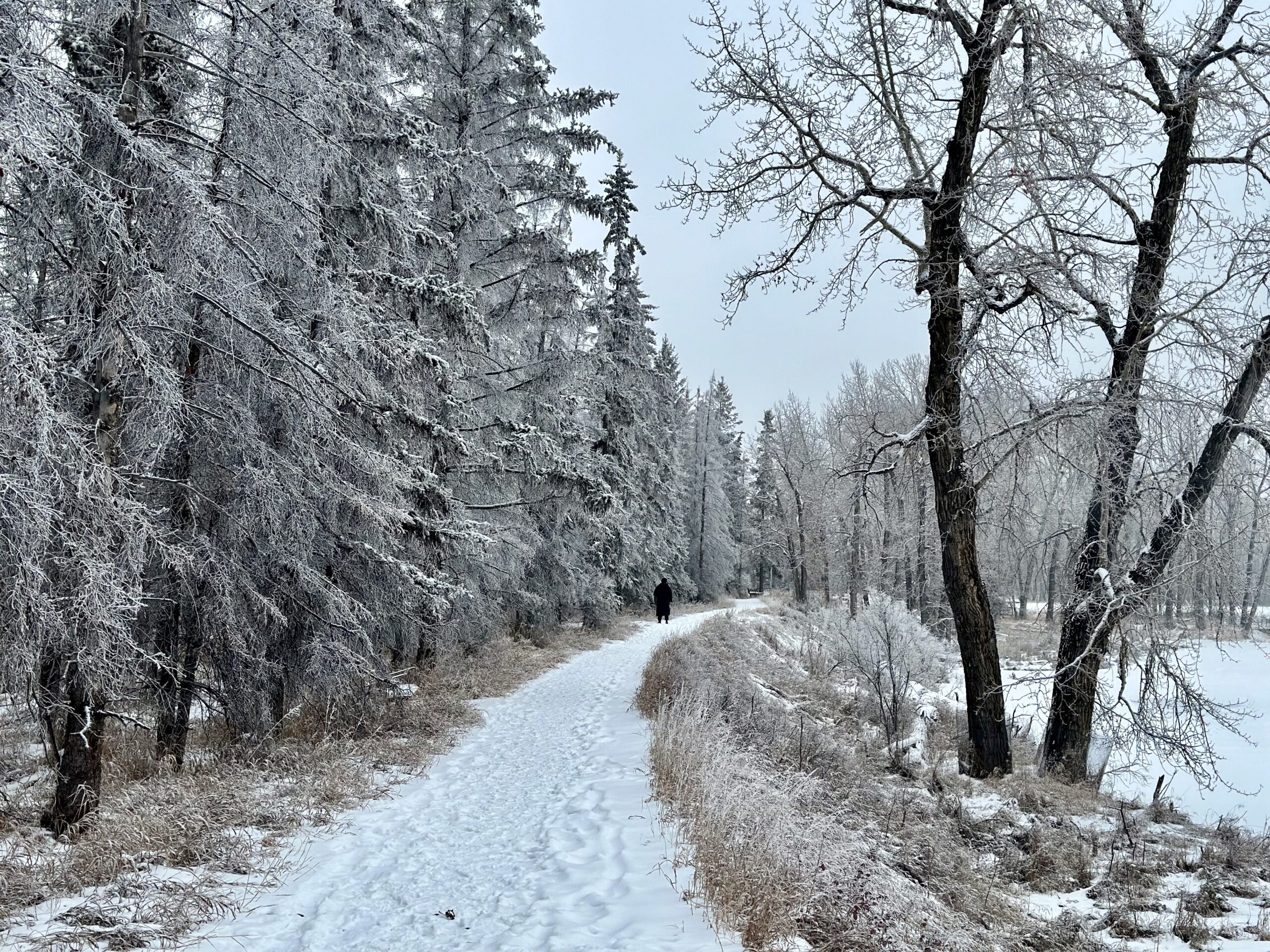 Winter charm along Calgary’s trails | Canadian Geographic