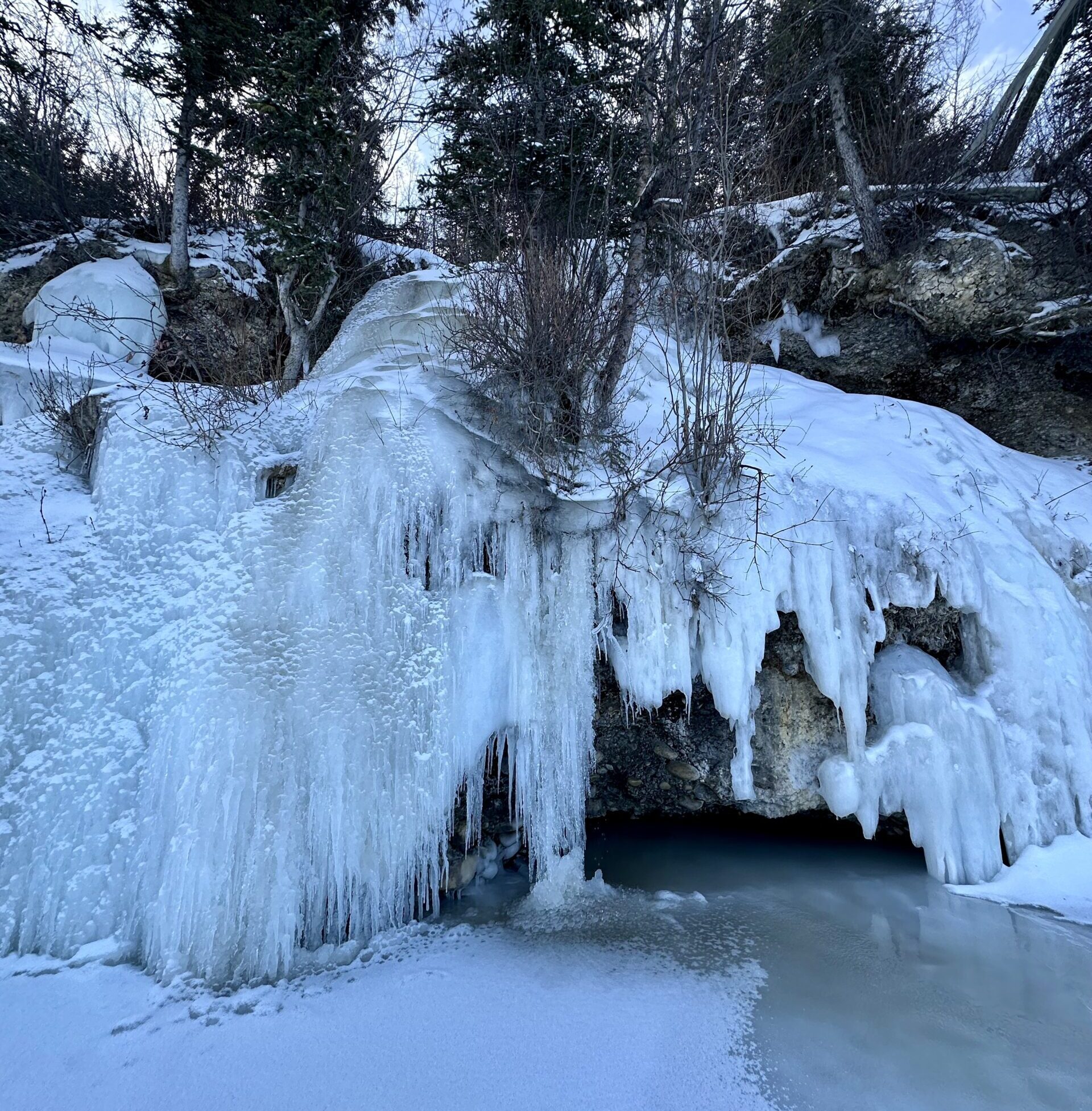 Winter charm along Calgary’s trails | Canadian Geographic