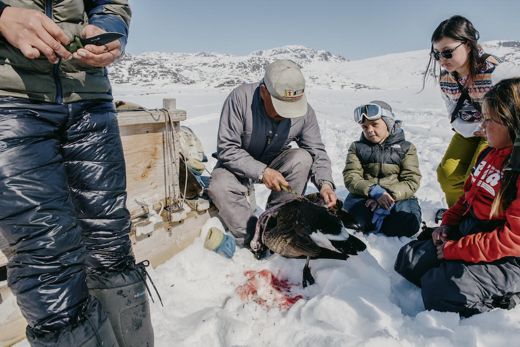 Sécurité alimentaire : À la chasse aux aliments sains | Canadian Geographic