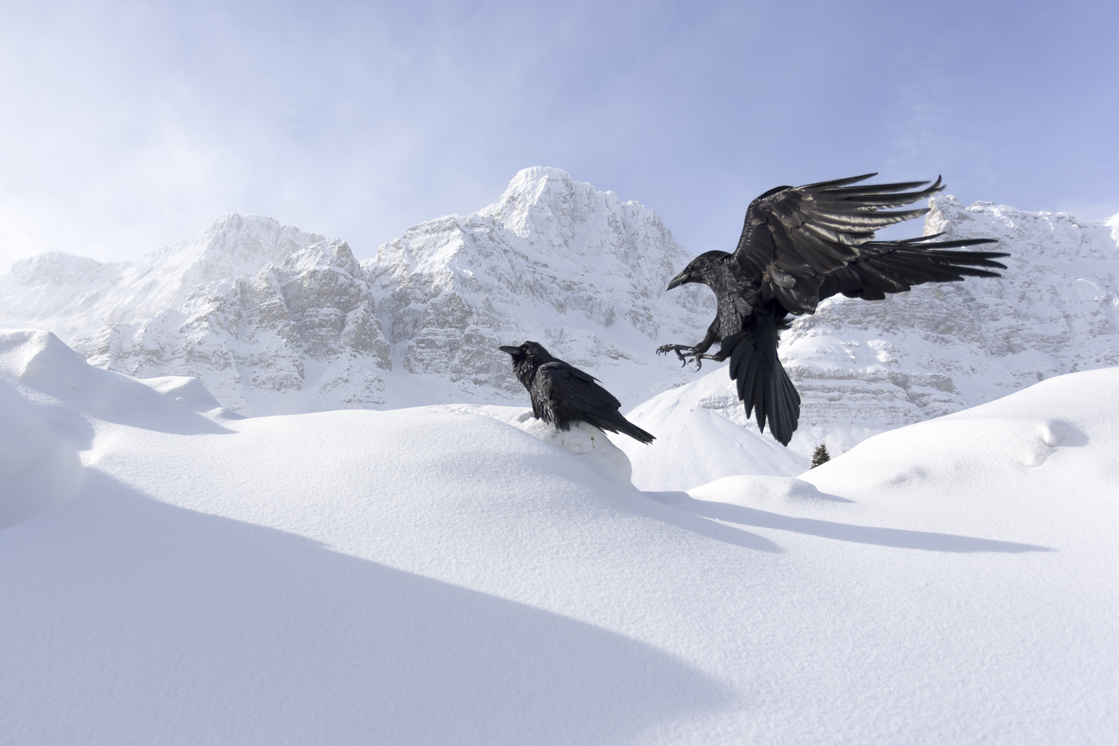 Behind the scenes of our 2024 Canadian Photos of the Year competition ...