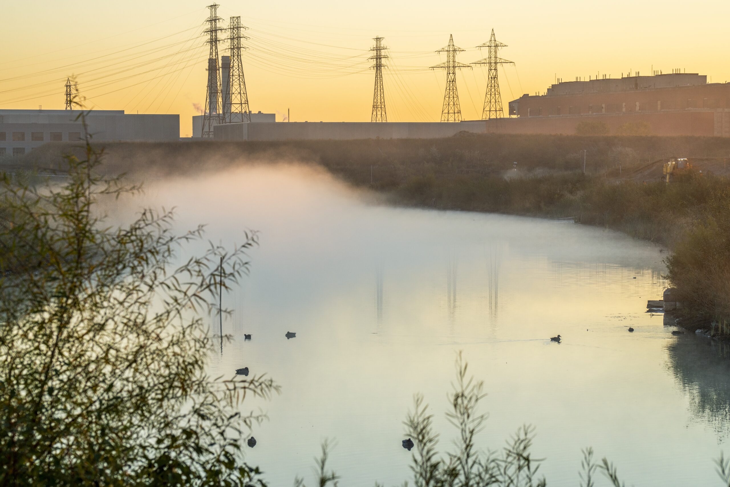 From wasteland to wetland: re-naturalizing Toronto’s Don River into ...