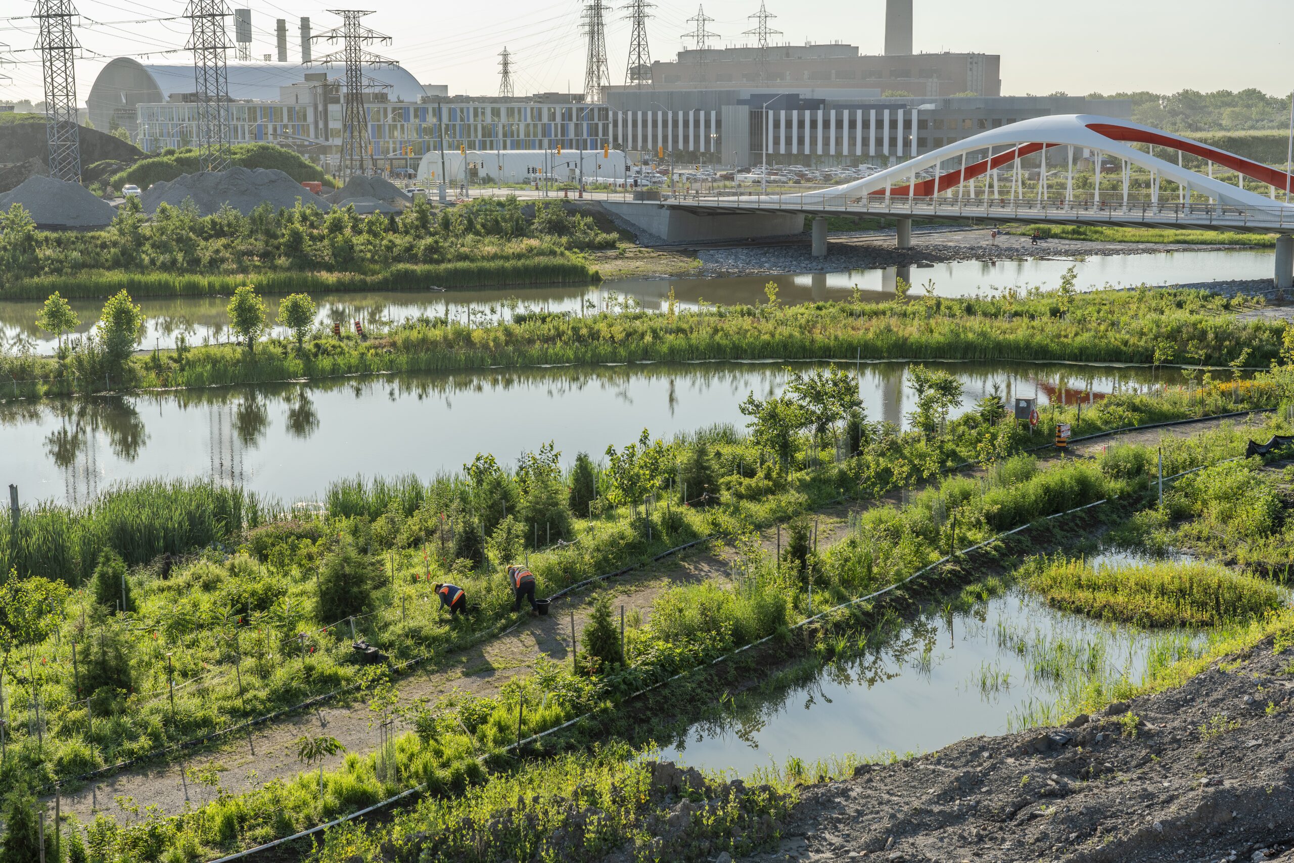 From wasteland to wetland: re-naturalizing Toronto’s Don River into ...