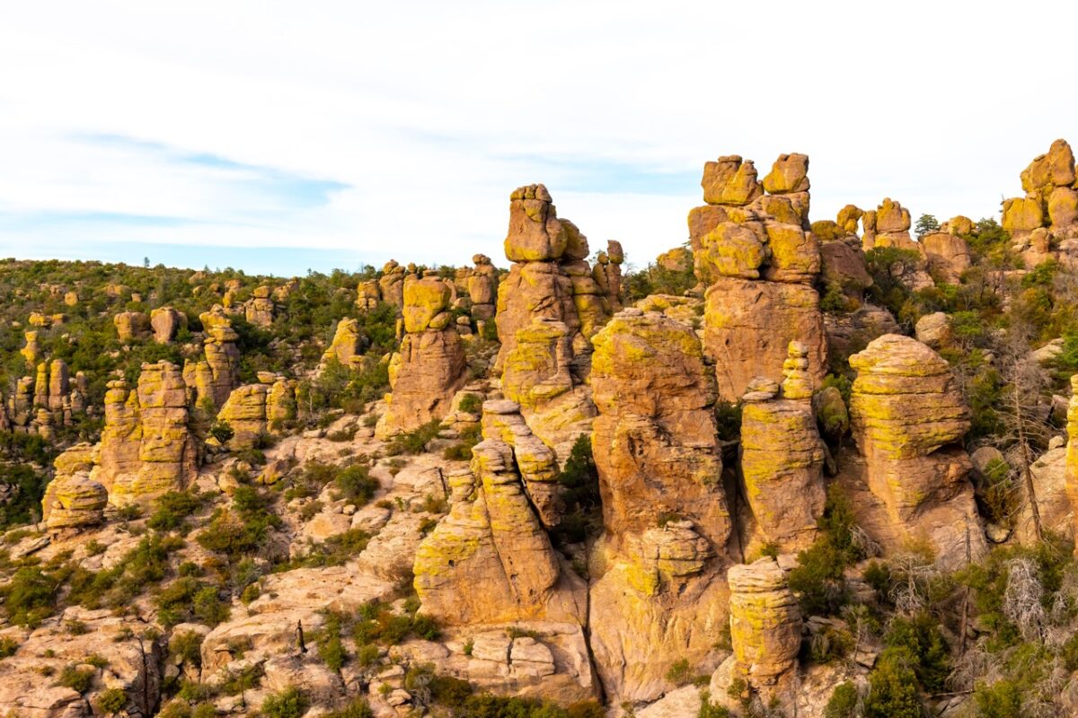 The lure of southern Arizona’s warm wilderness | Canadian Geographic
