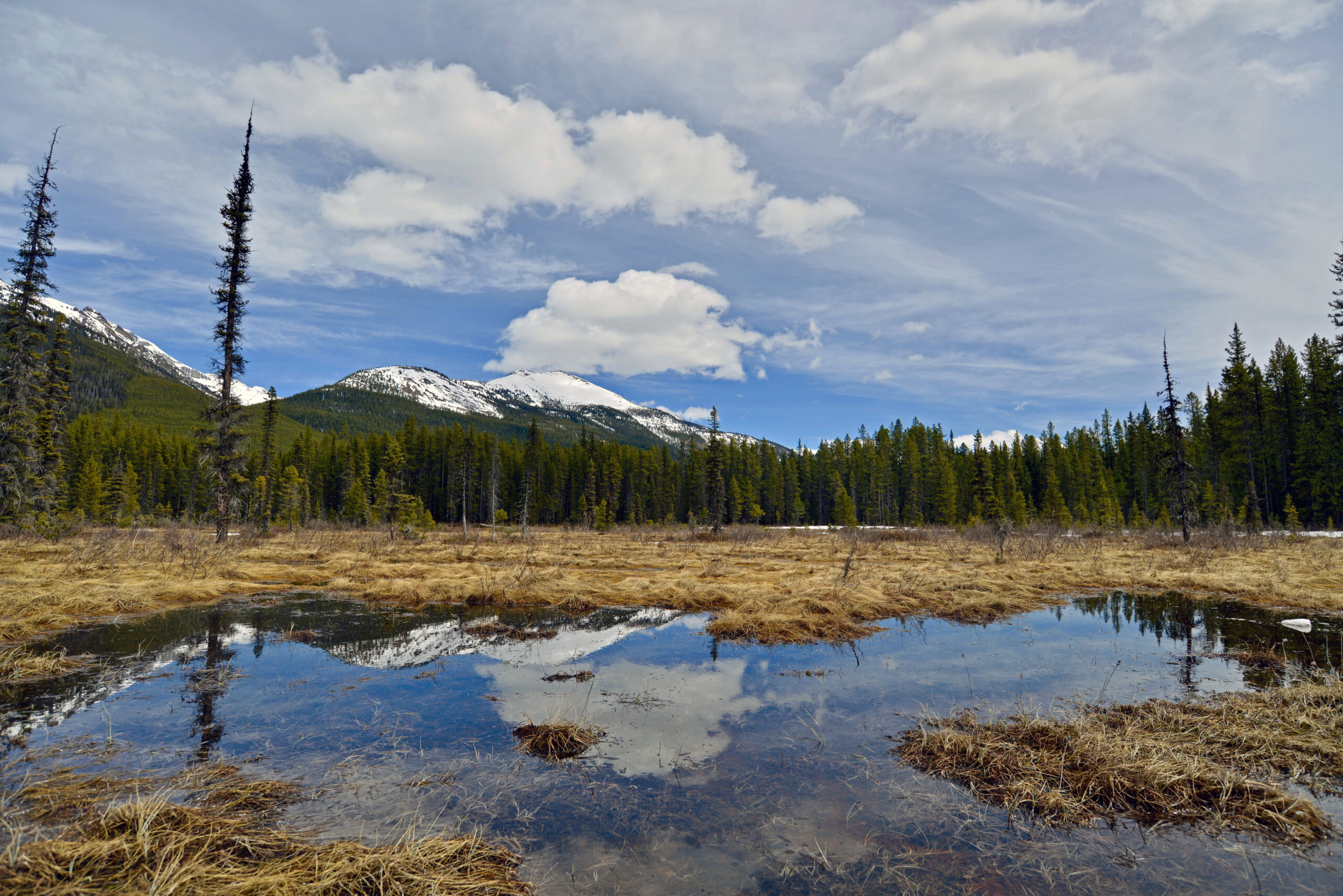 The Essential Itinerary: Springtime in Banff, Alberta | Canadian Geographic