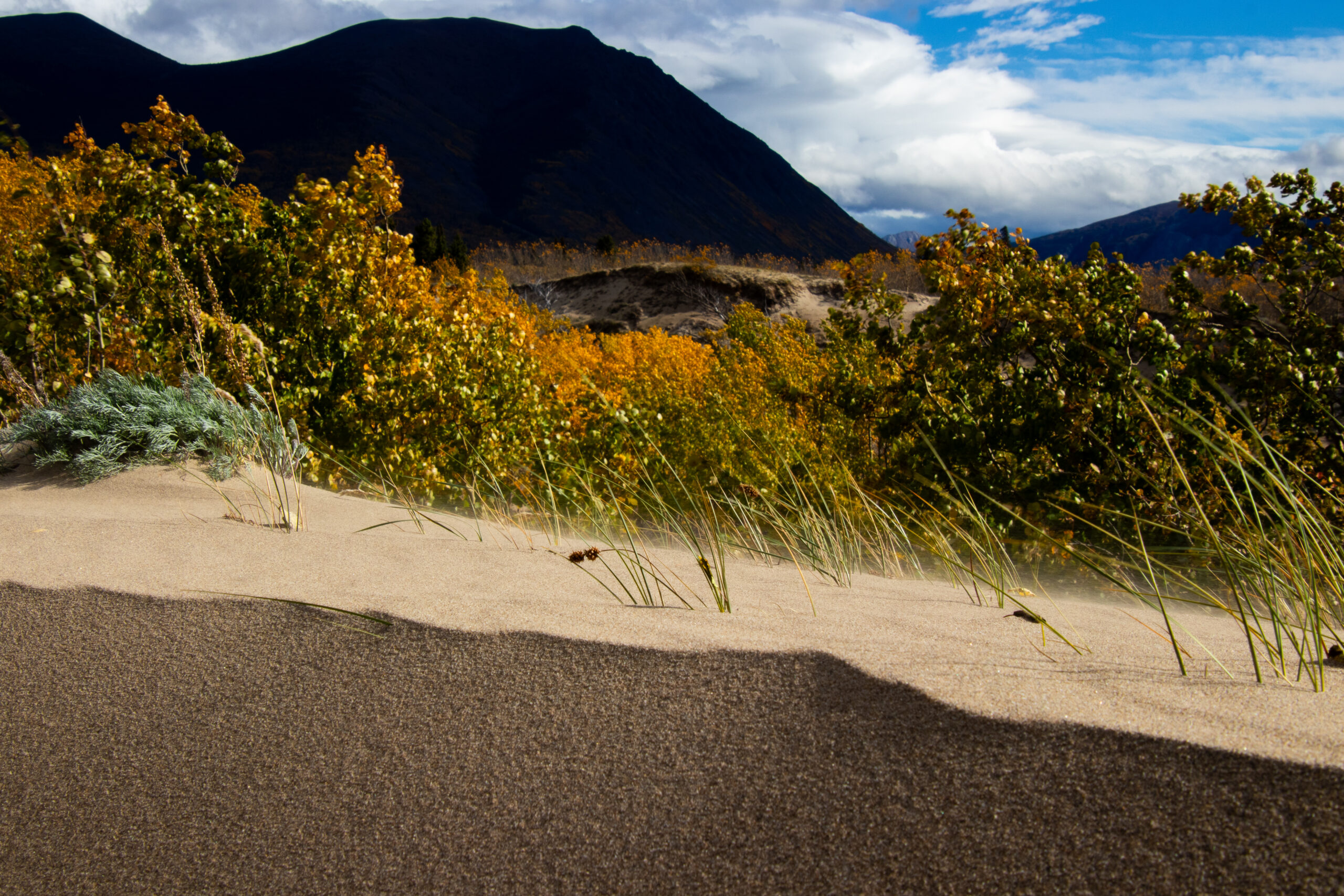 Safeguarding the future of Canada’s environment | Canadian Geographic