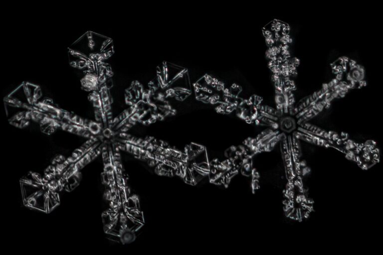 No two the same: how snowflakes form | Canadian Geographic