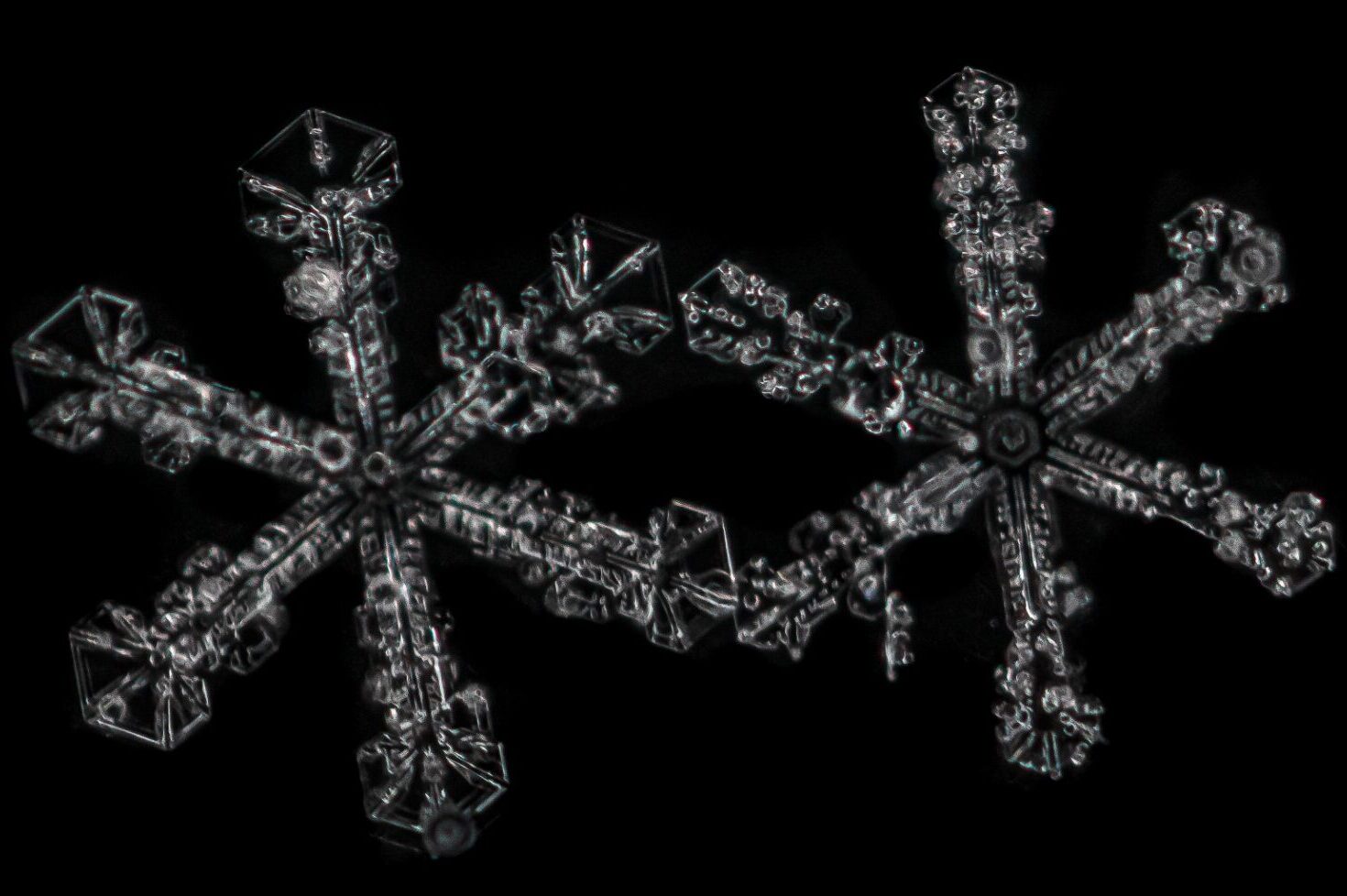No two the same: how snowflakes form | Canadian Geographic