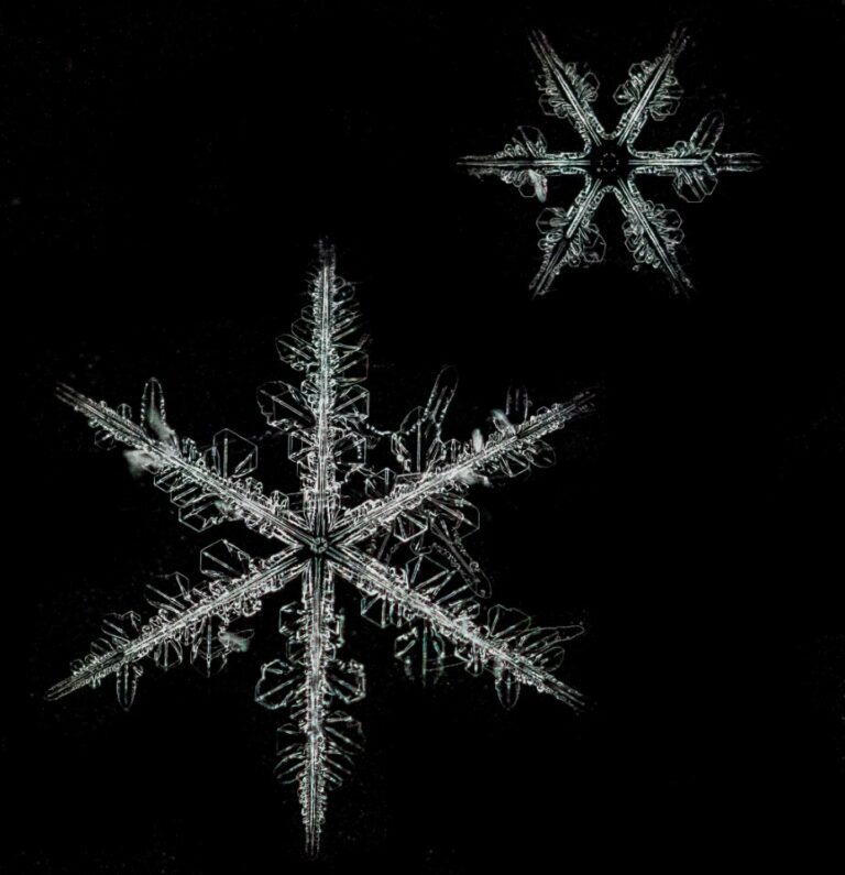 No two the same: how snowflakes form | Canadian Geographic
