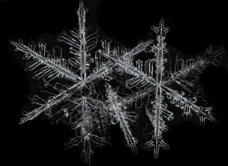 No two the same: how snowflakes form | Canadian Geographic