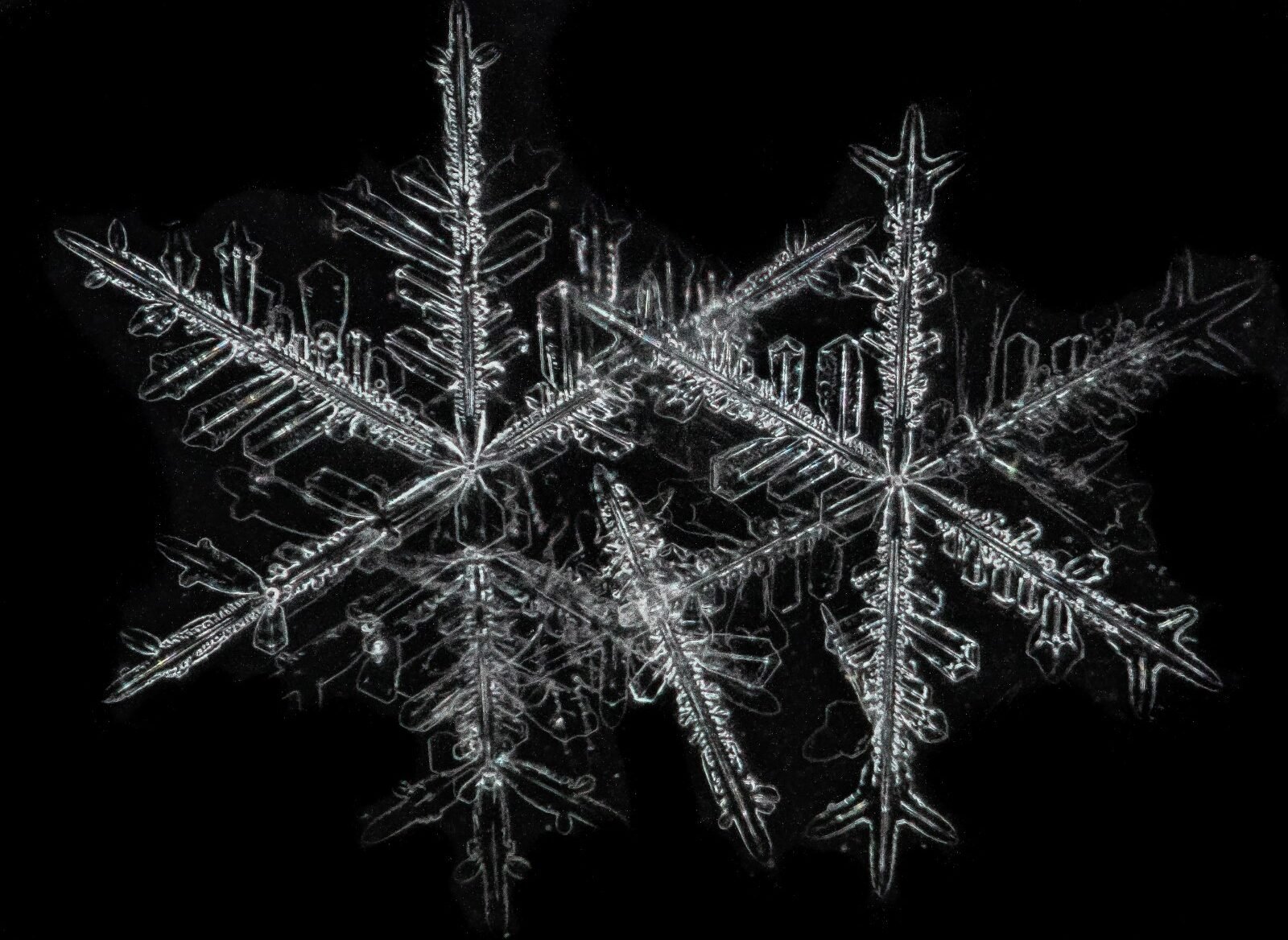No two the same: how snowflakes form | Canadian Geographic