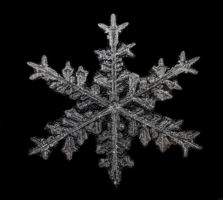 No two the same: how snowflakes form | Canadian Geographic