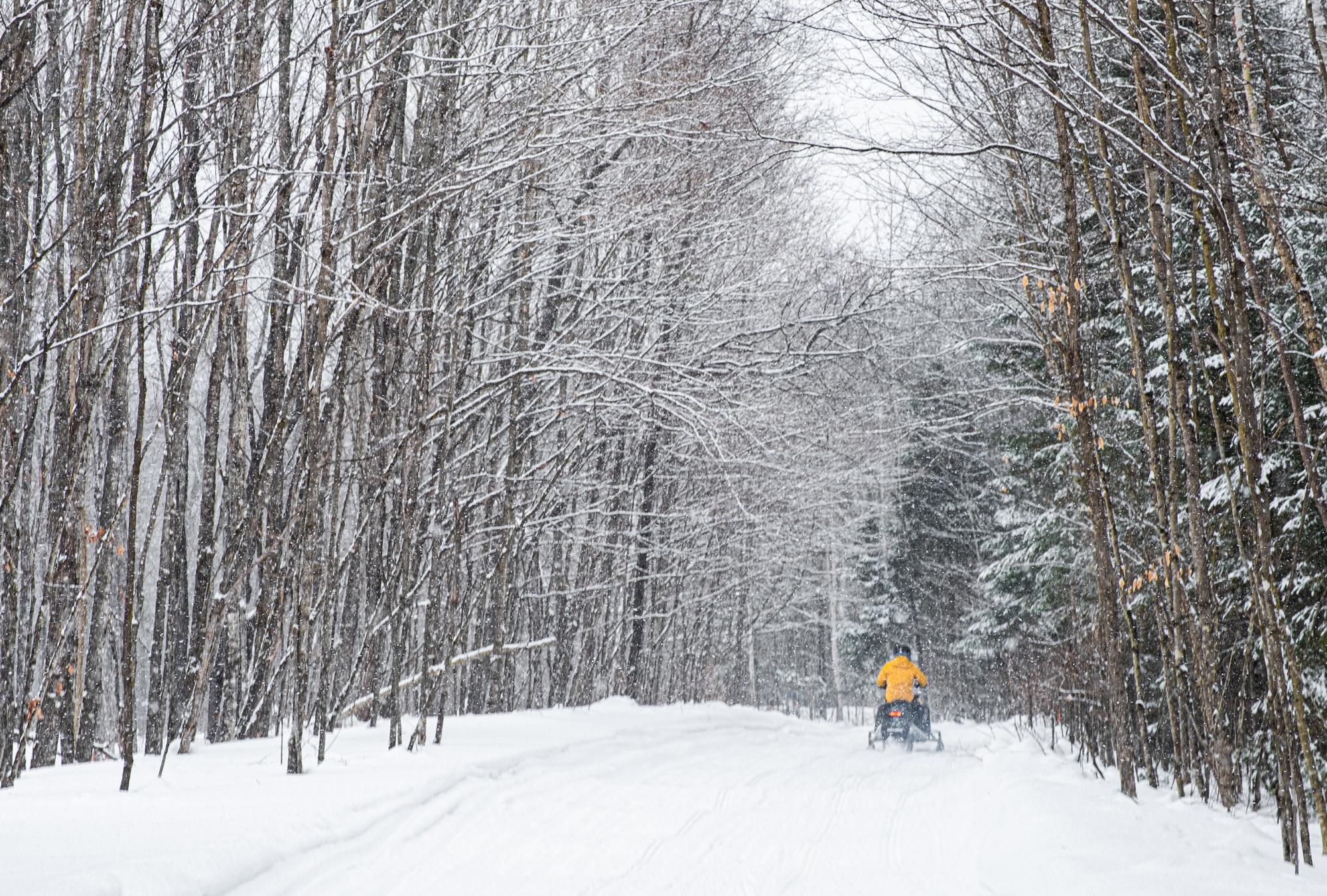 An off-grid snowmobile adventure in Central Ontario | Canadian Geographic