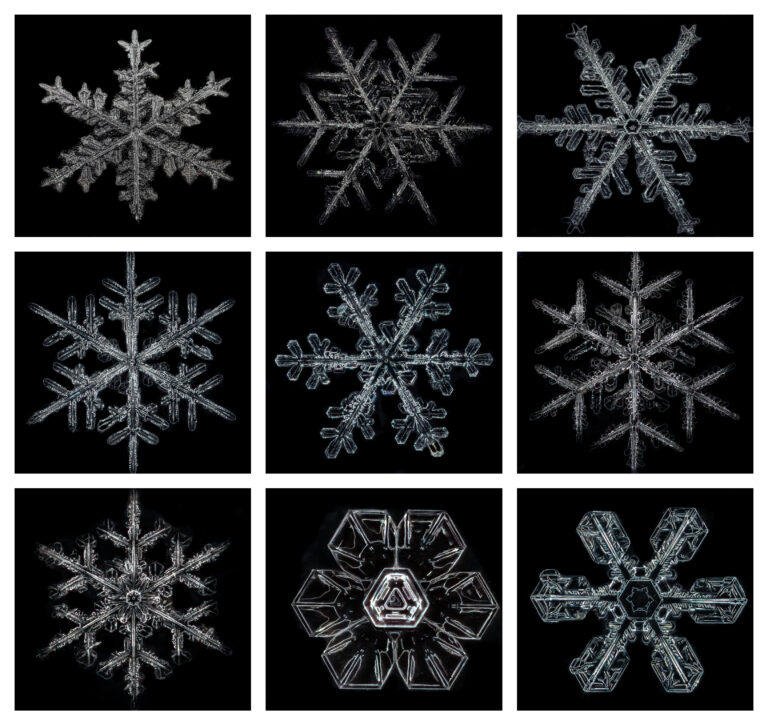 No two the same: how snowflakes form | Canadian Geographic