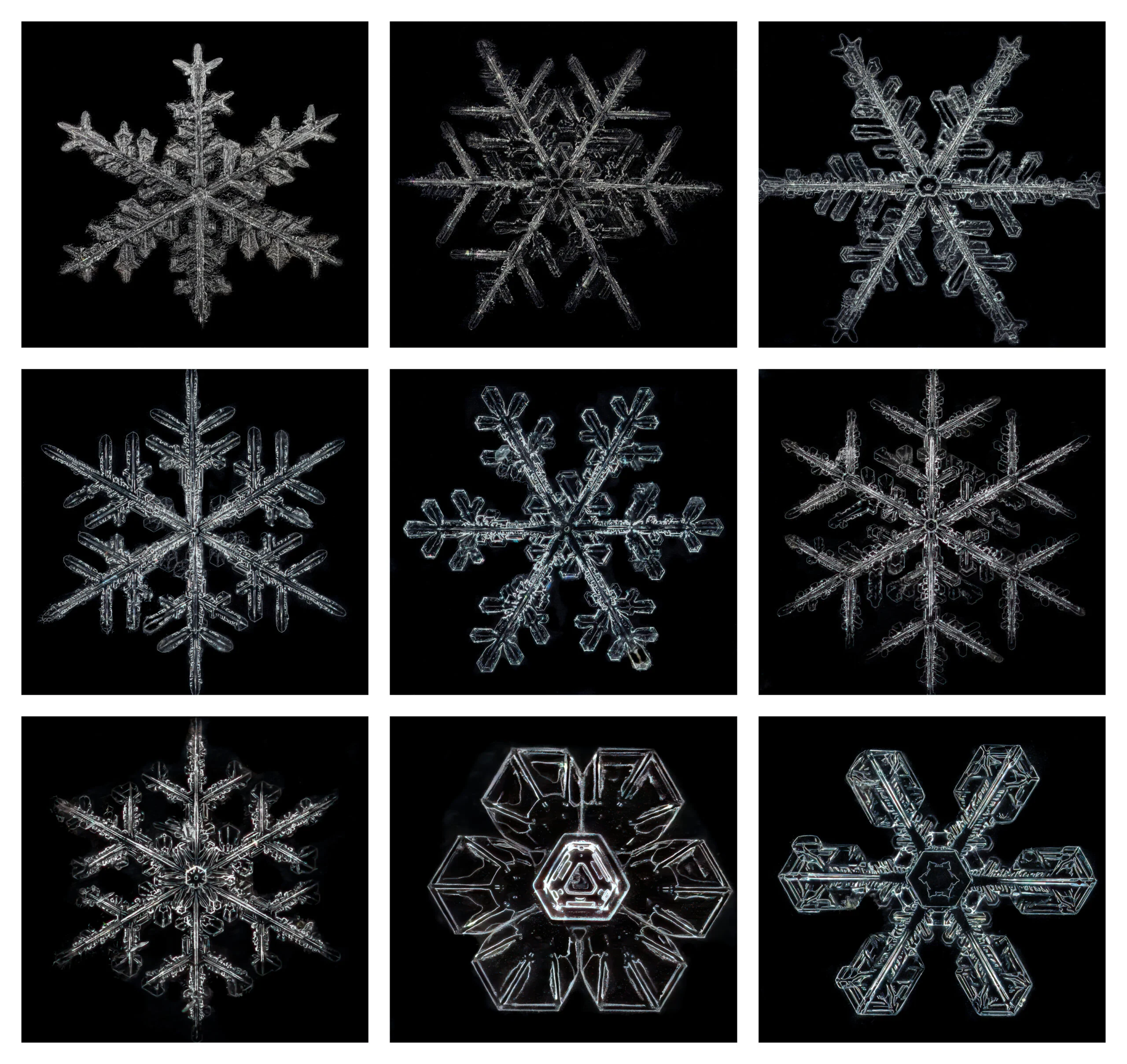 No two the same: how snowflakes form | Canadian Geographic