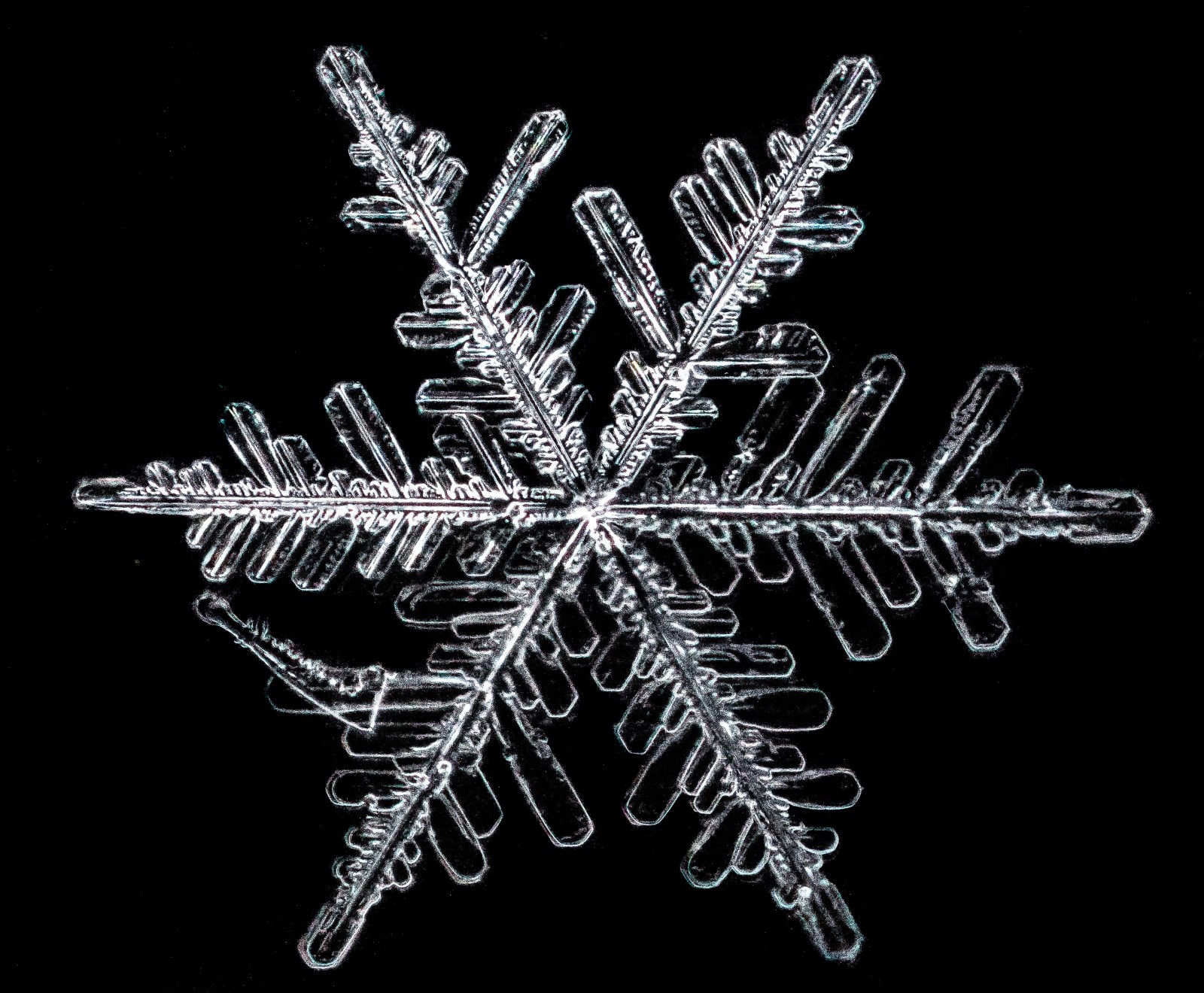 No two the same: how snowflakes form | Canadian Geographic