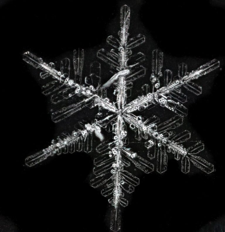 No two the same: how snowflakes form | Canadian Geographic
