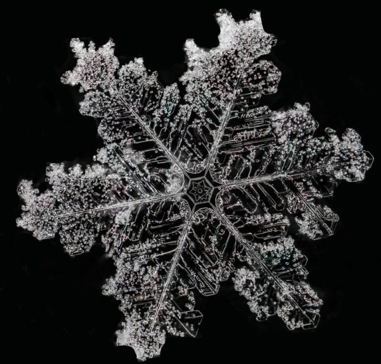 No two the same: how snowflakes form | Canadian Geographic