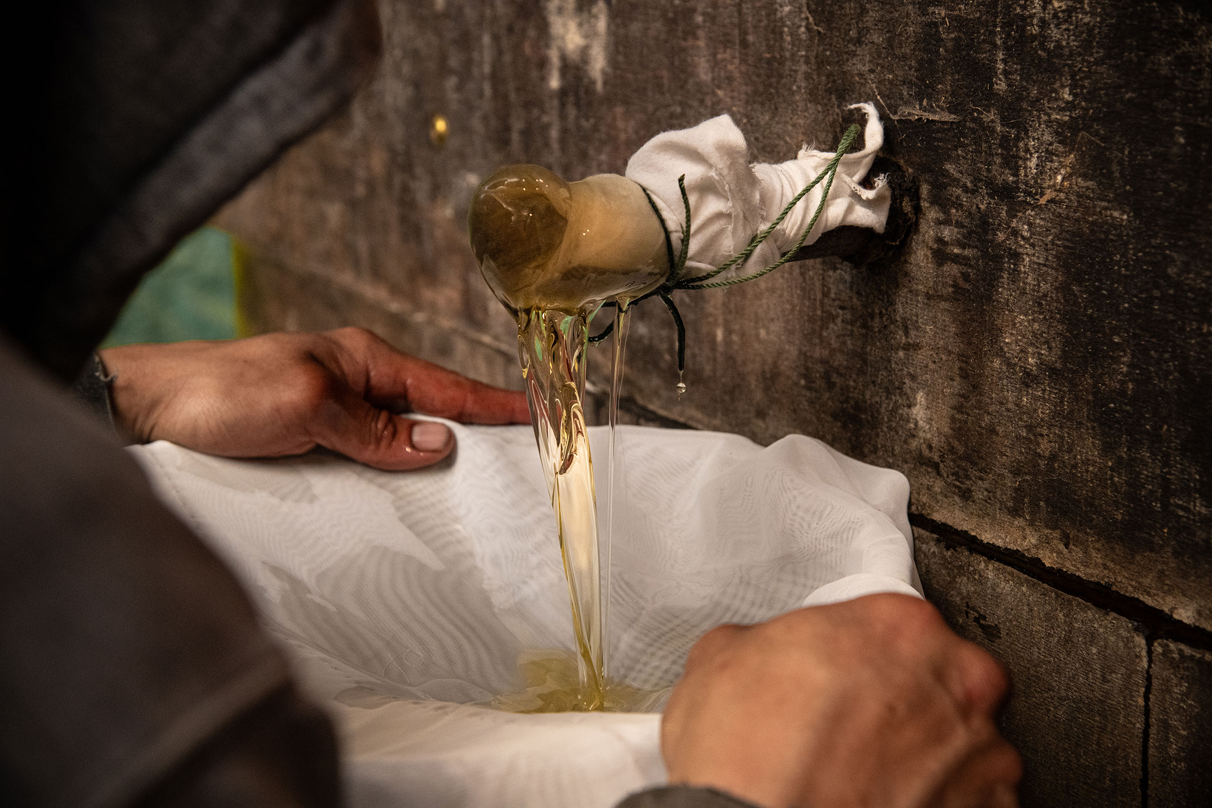 Where the saviour fish still swims | Canadian Geographic