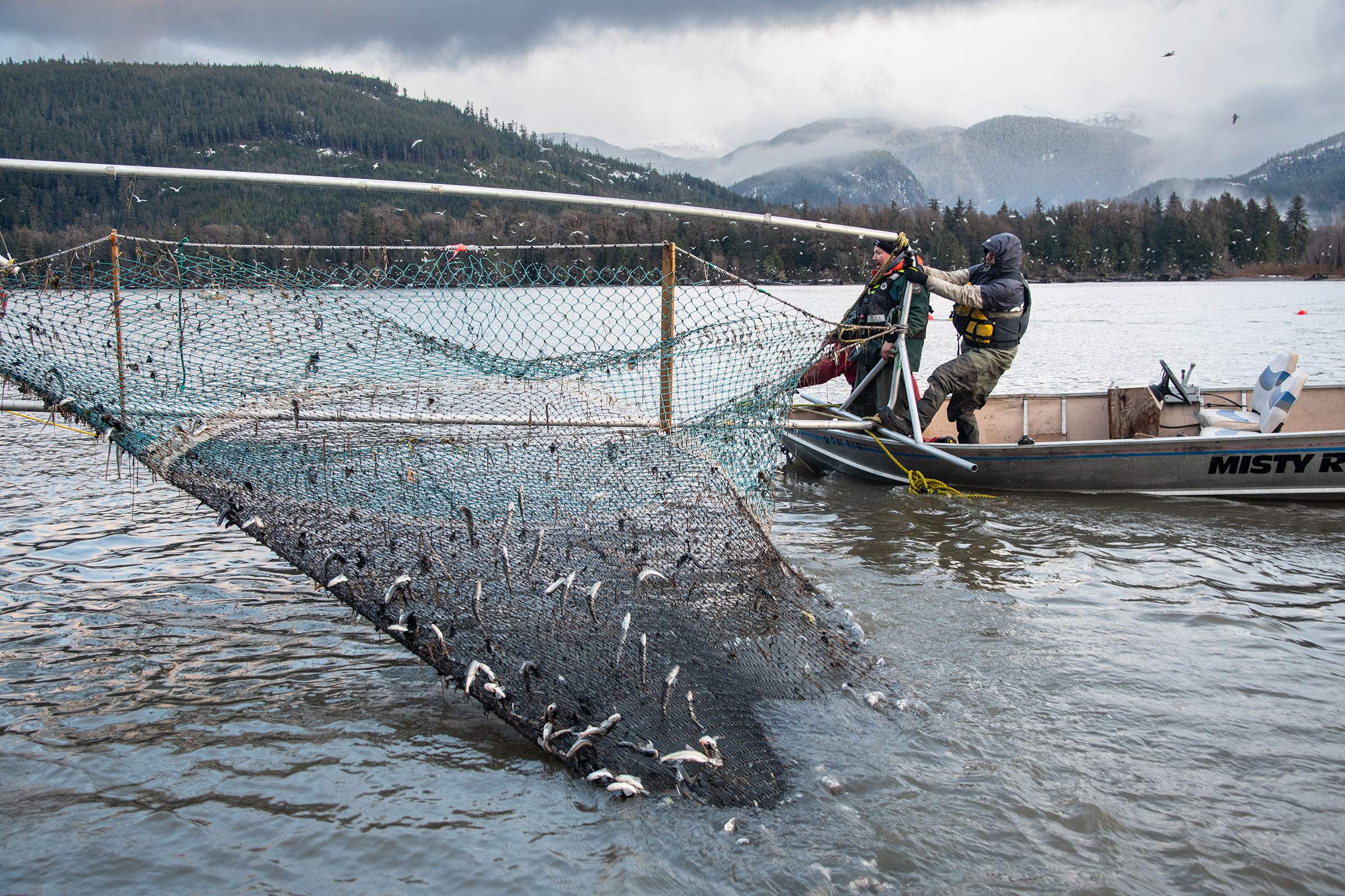 Where the saviour fish still swims | Canadian Geographic