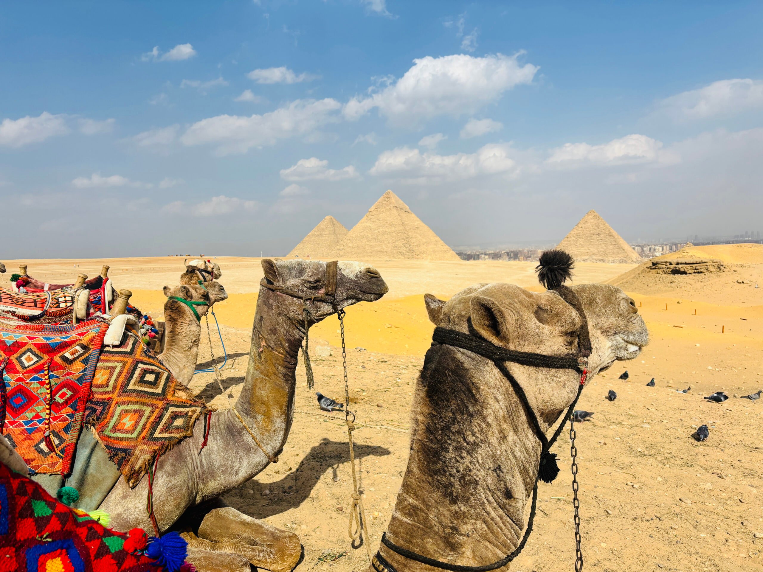 Look mom, a mummy! A family journey through Egypt’s ancient history | Canadian Geographic