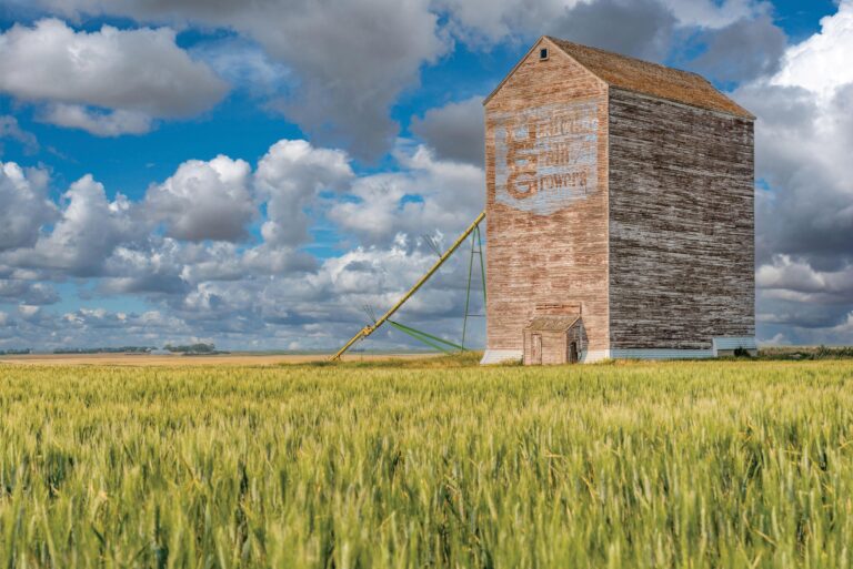 D’oh Canada: The Simpsons’ hidden Canadian connection | Canadian Geographic