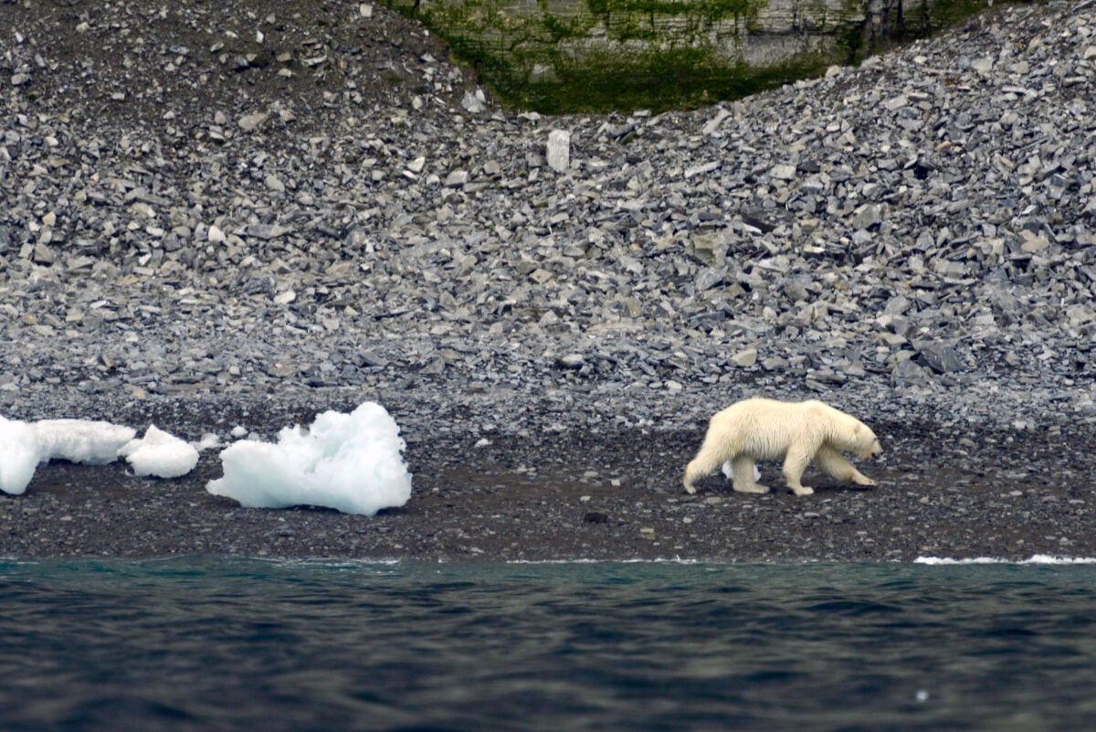 Echoes in the ice: Inuit knowledge and the changing Arctic | Canadian ...