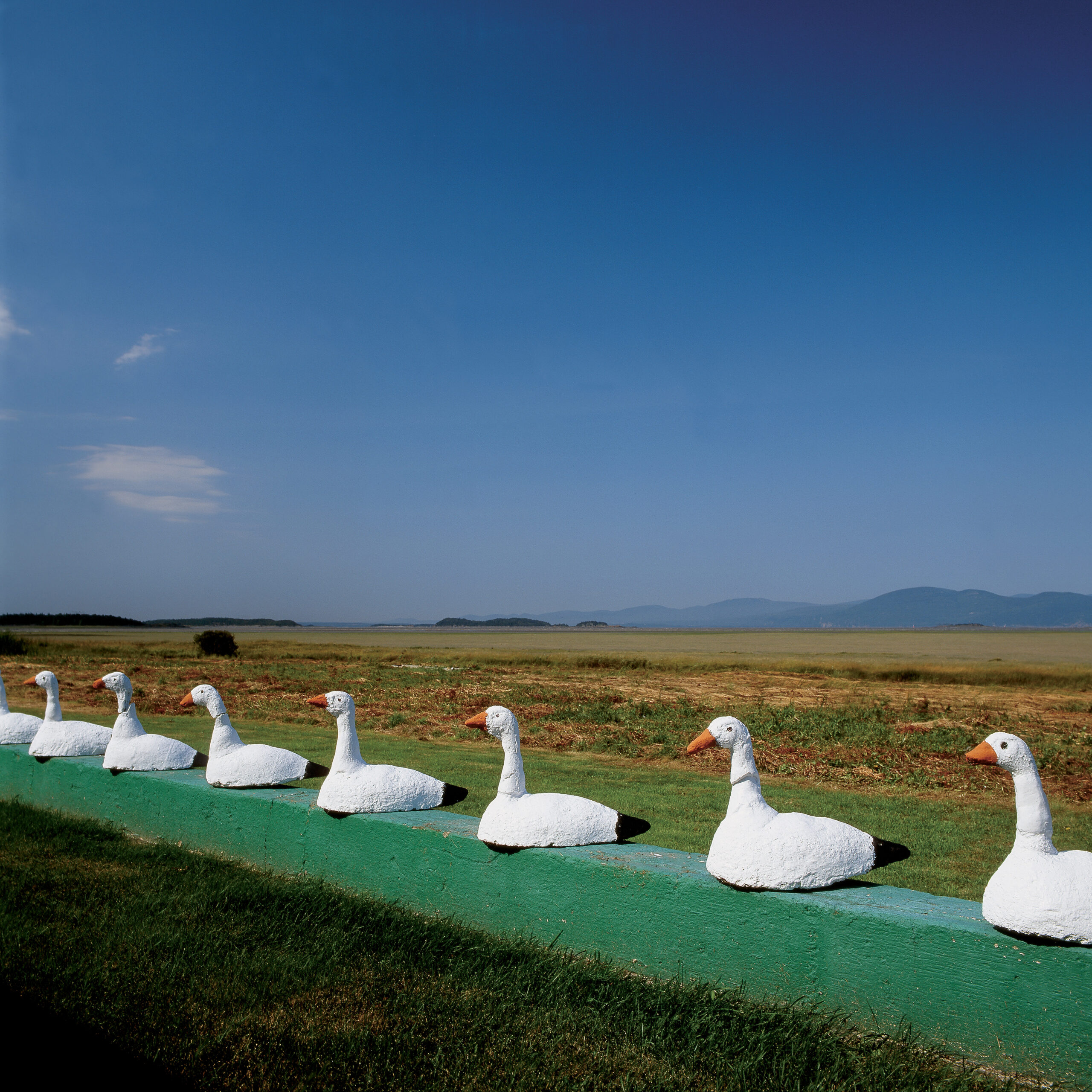Without a paddle: a journey down Canada’s most renowned estuary ...