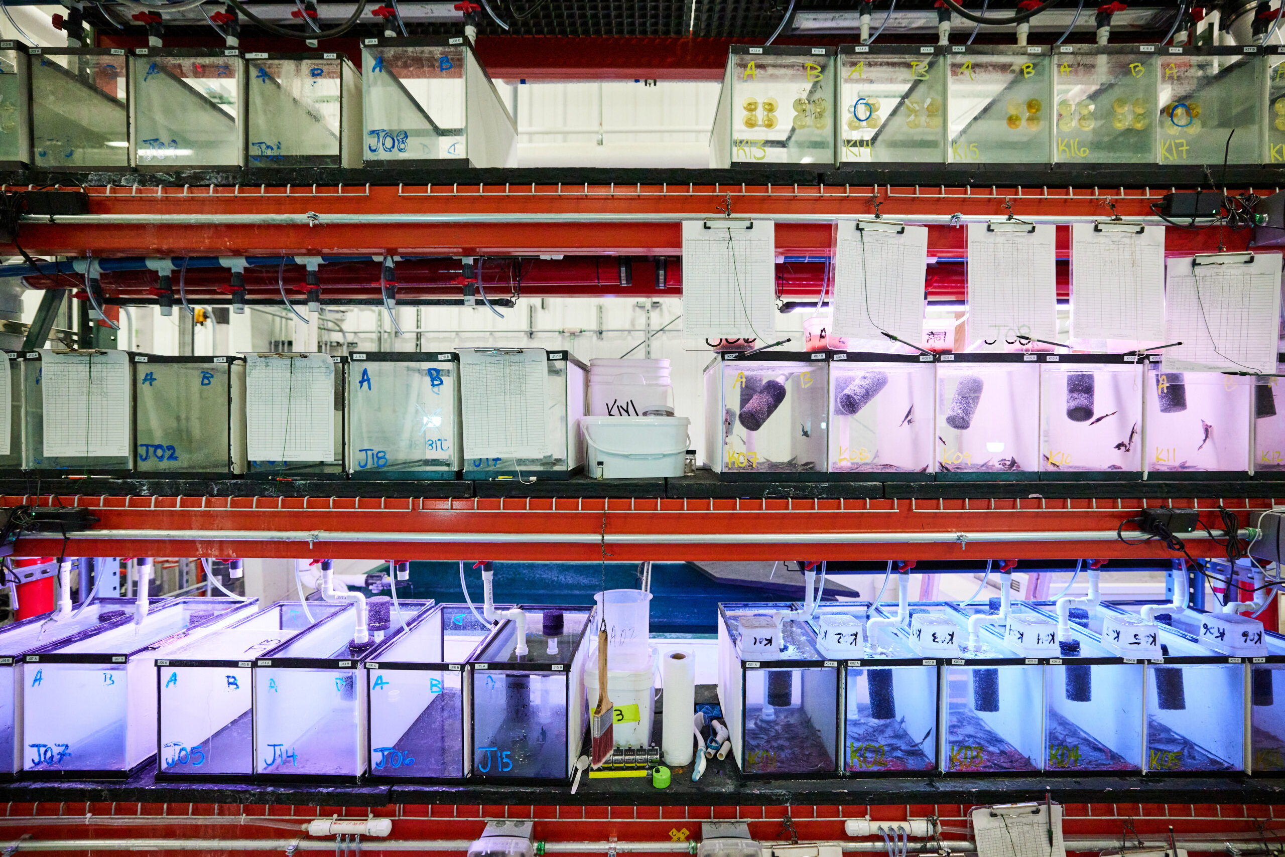 “To learn all the gifts from nmé, you have to work with him in the ...