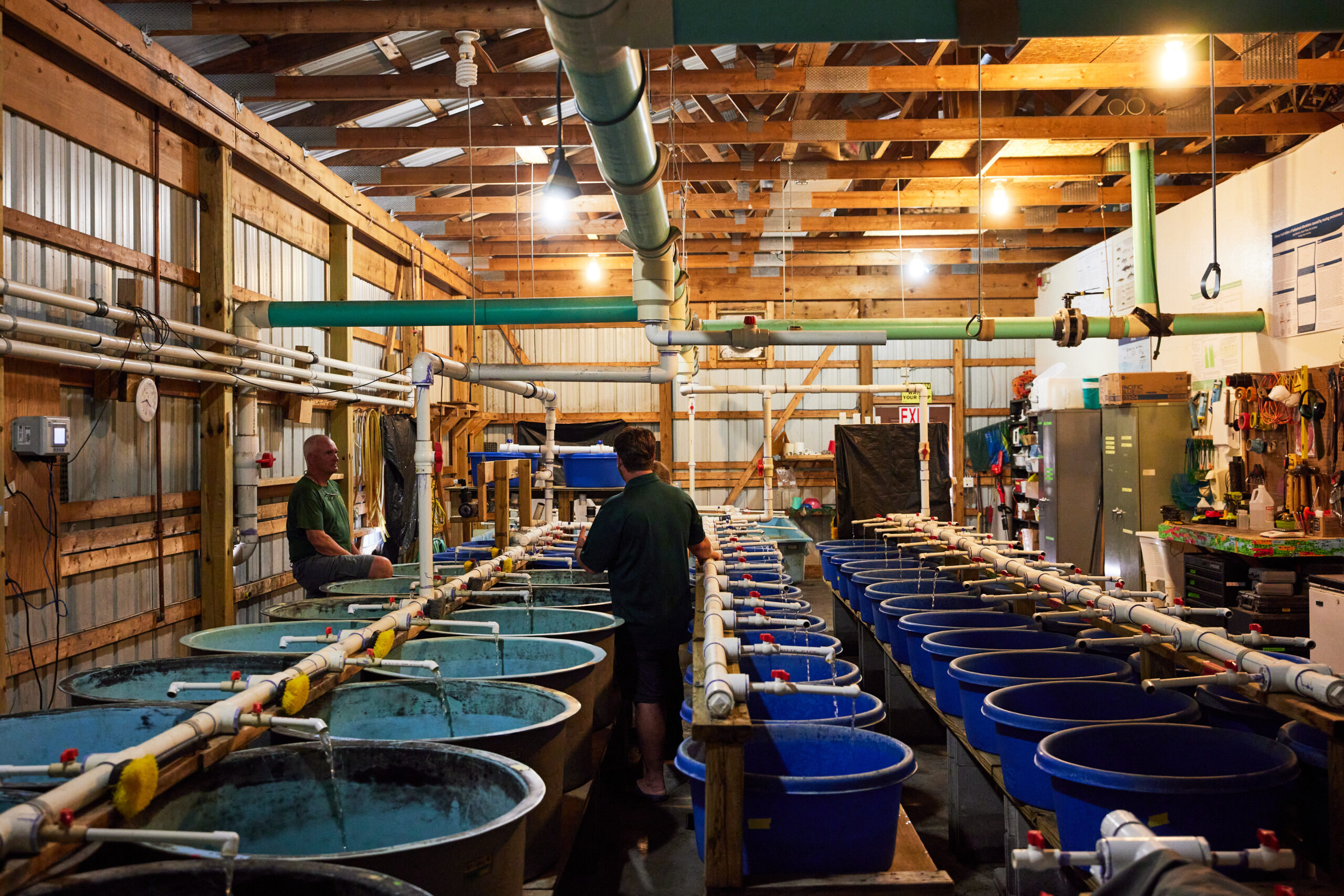 “To learn all the gifts from nmé, you have to work with him in the ...