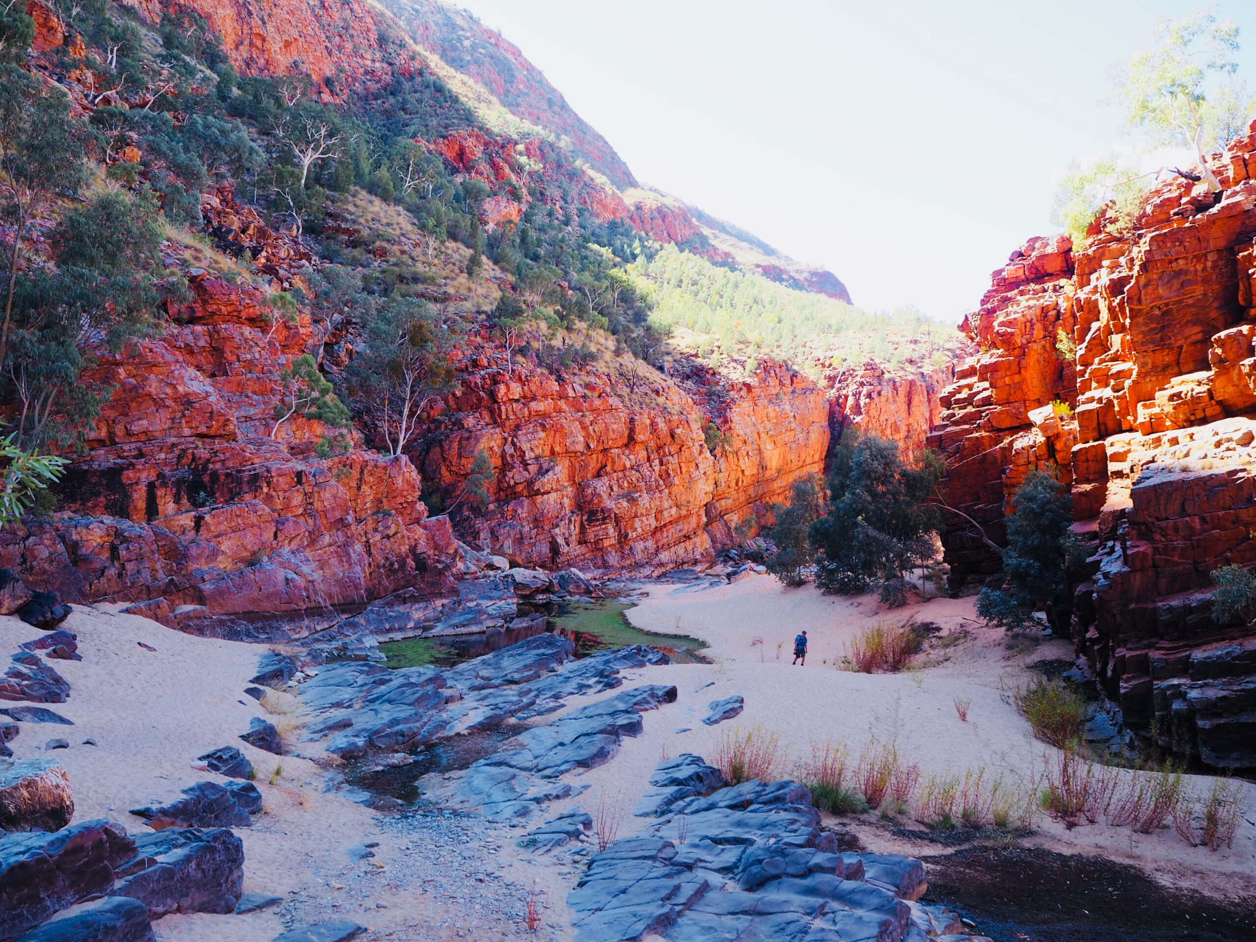 Hiking the Larapinta Trail in comfort: A luxury adventure through ...