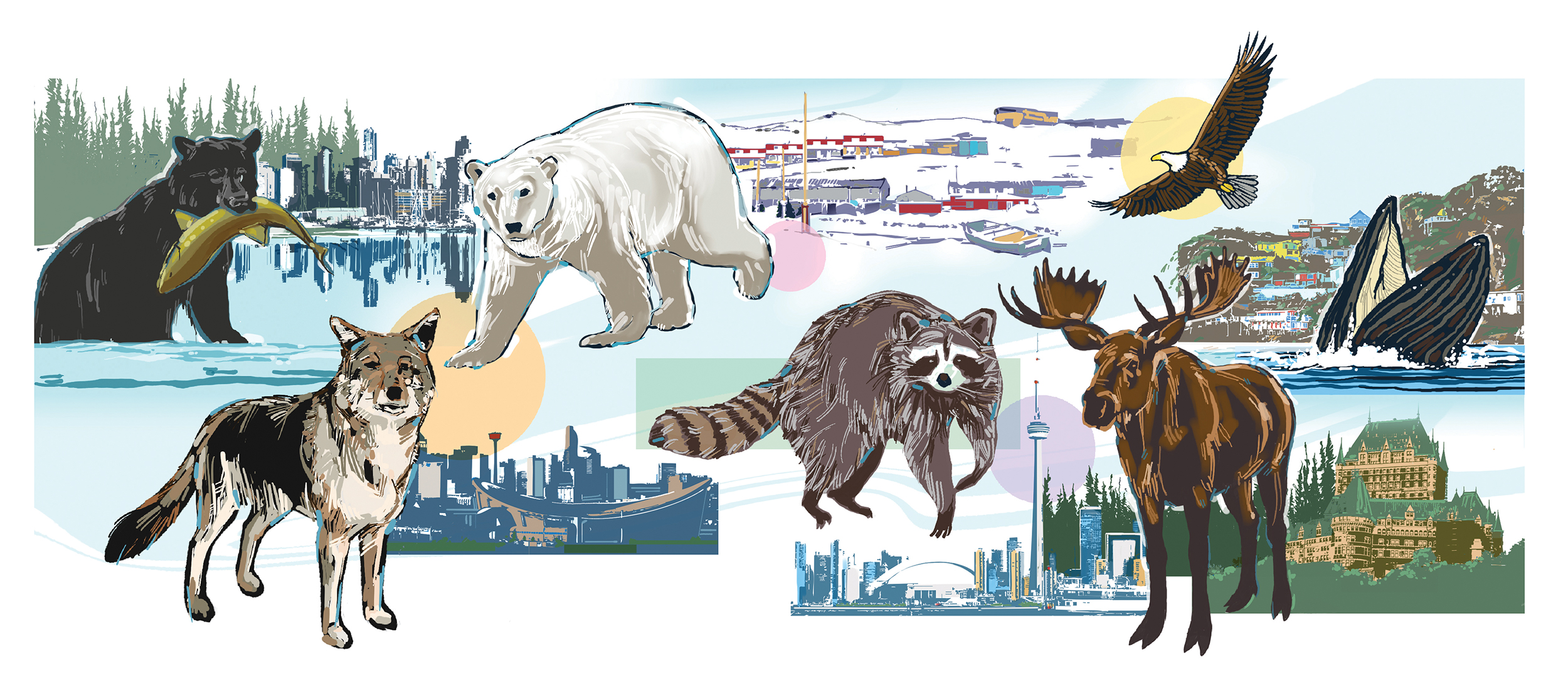North star: Reflections on Canada and being Canadian | Canadian Geographic