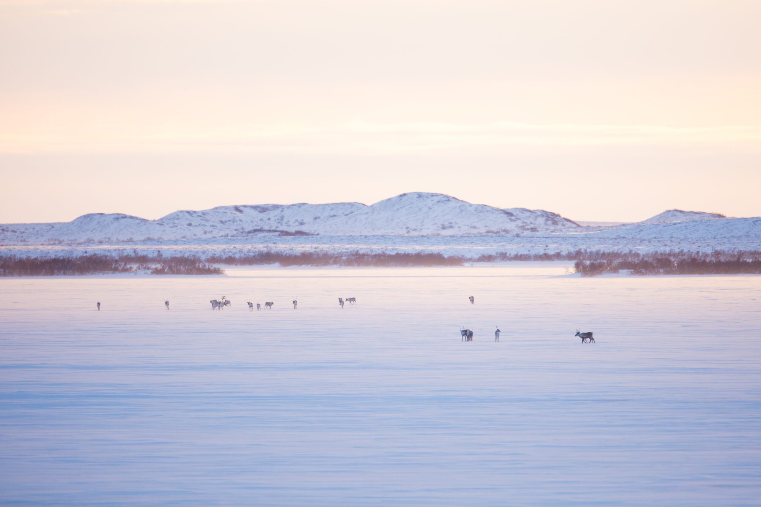 Inuit teachings for climate leadership: Silatuniq in action | Canadian ...