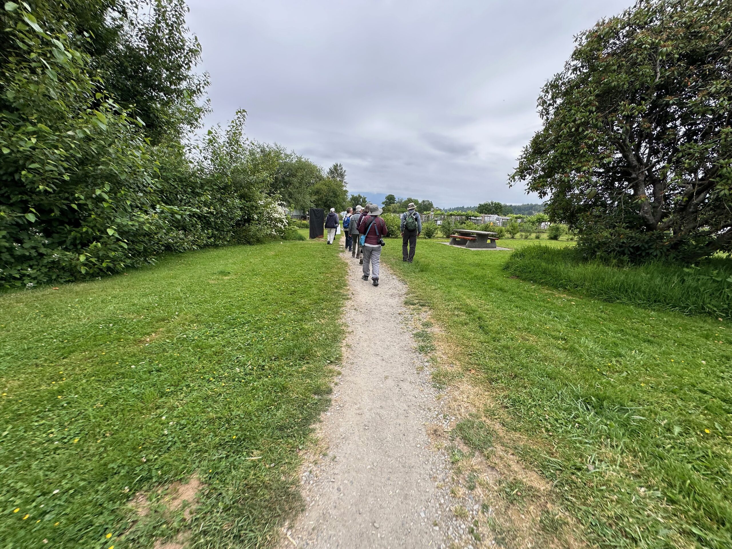 Birding the road less travelled in British Columbia | Canadian Geographic