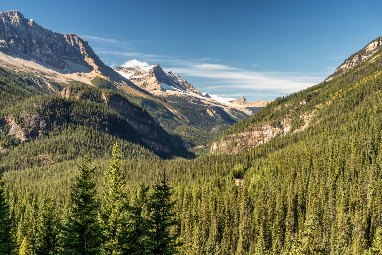 Redefining resilience with the Wildfire Resilience Consortium of Canada ...