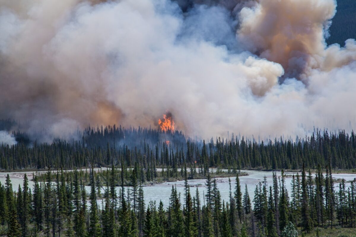 Redefining resilience with the Wildfire Resilience Consortium of Canada ...