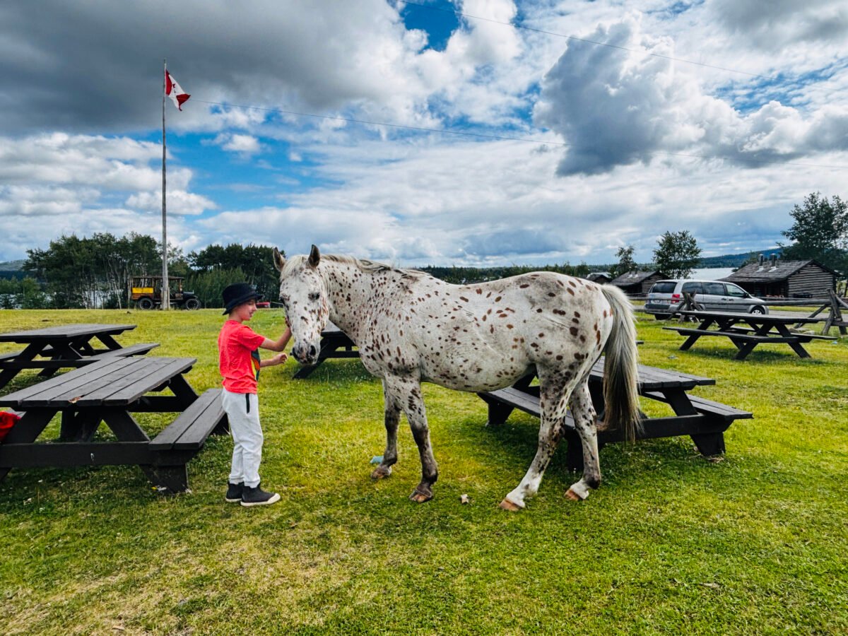 Hold your horses: Canada’s oldest guest ranch awaits | Canadian Geographic