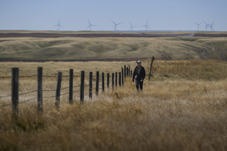 Pronghorns are stymied by prairie fences. Meet the volunteers trying to ...