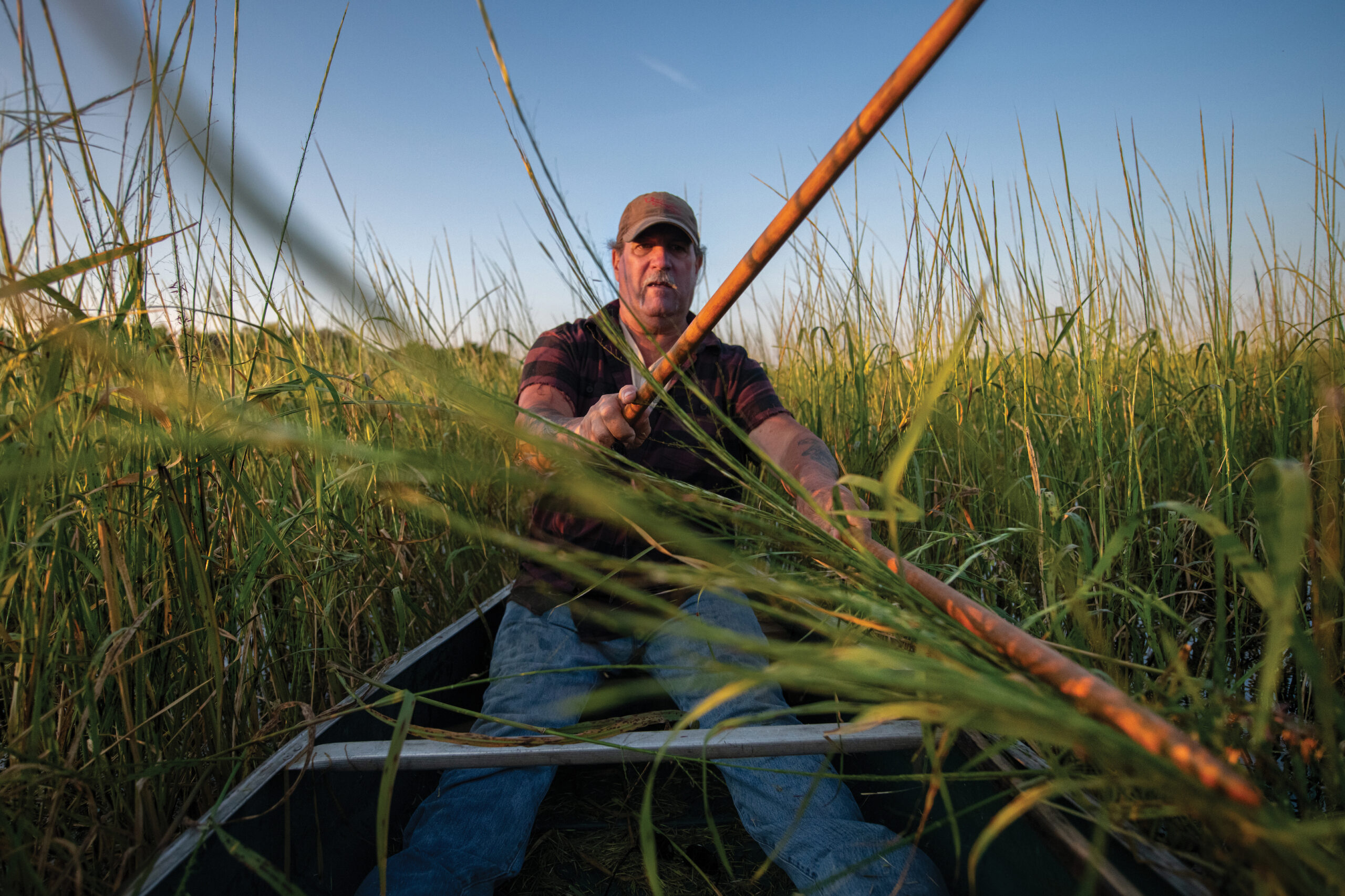 The good berry: Anishinaabe resilience through the harvest of Manoomin ...