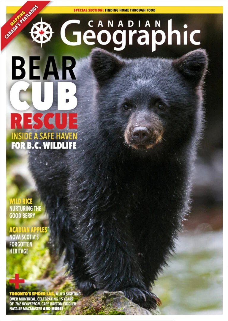 Inside the Toronto lab where ecologists study Canada’s most venomous ...